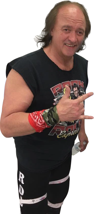 Robert Gibson | NXT vs SMACKDOWN Wiki | Fandom