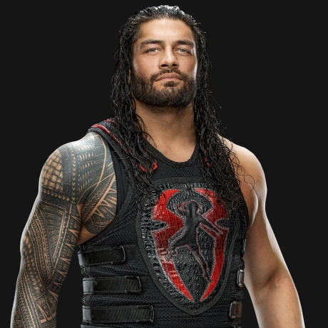 The Shield | NXT vs SMACKDOWN Wiki | Fandom