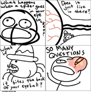 Fiesta Spider | Nyan Cat Wiki | Fandom