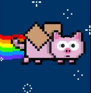 Nyan OCs | Nyan Cat Wiki | Fandom