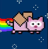 Nyan Pig (ParkerEH) | Nyan Cat Wiki | Fandom