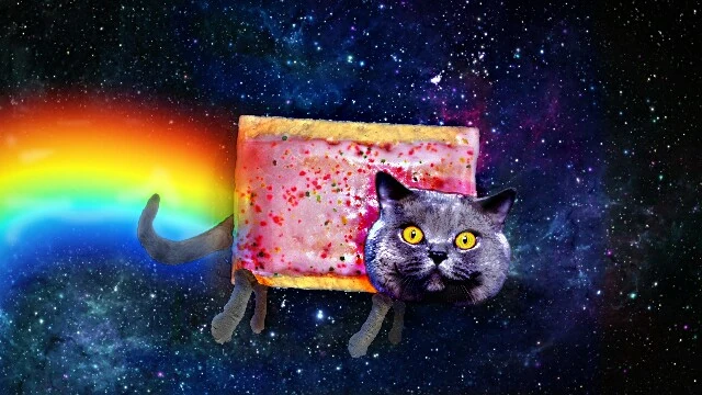 User blog:NyanCatFan101/Realistic Nyan Cat Images | Nyan Cat Wiki | Fandom