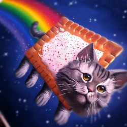 Nyan Cat In Real Life