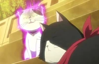 Tama/Gallery | Nyan Koi Wiki | Fandom