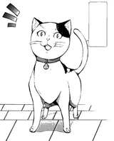 Tama/Gallery | Nyan Koi Wiki | Fandom