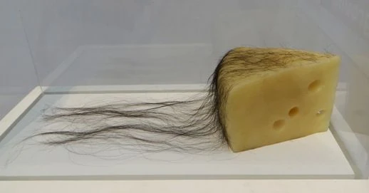 Hairy Cheese | Nyoom Wiki | Fandom