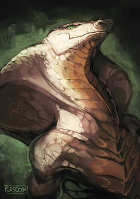 Gorgons | Nyxbook Wiki | Fandom