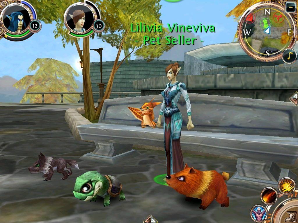 Pets | Order&Chaos Online Wiki | Fandom