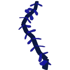 Plek | Oaklands Wiki | Fandom