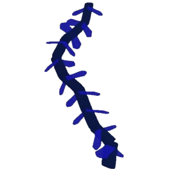 Plek | Oaklands Wiki | Fandom