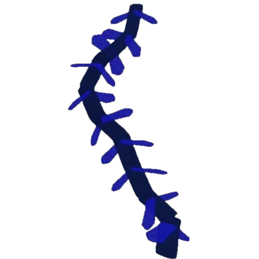 Plek | Oaklands Wiki | Fandom