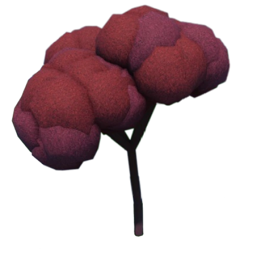 Red Maple | Oaklands Wiki | Fandom