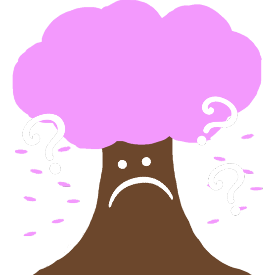 Computer | Oaklands Wiki | Fandom