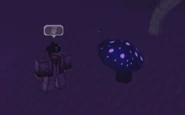 Mysterious Mushrooms | Oaklands Wiki | Fandom