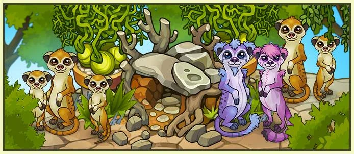 Meerkats | Oasis Game Wikia | Fandom