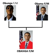 Obanga | OBAM Wiki | Fandom