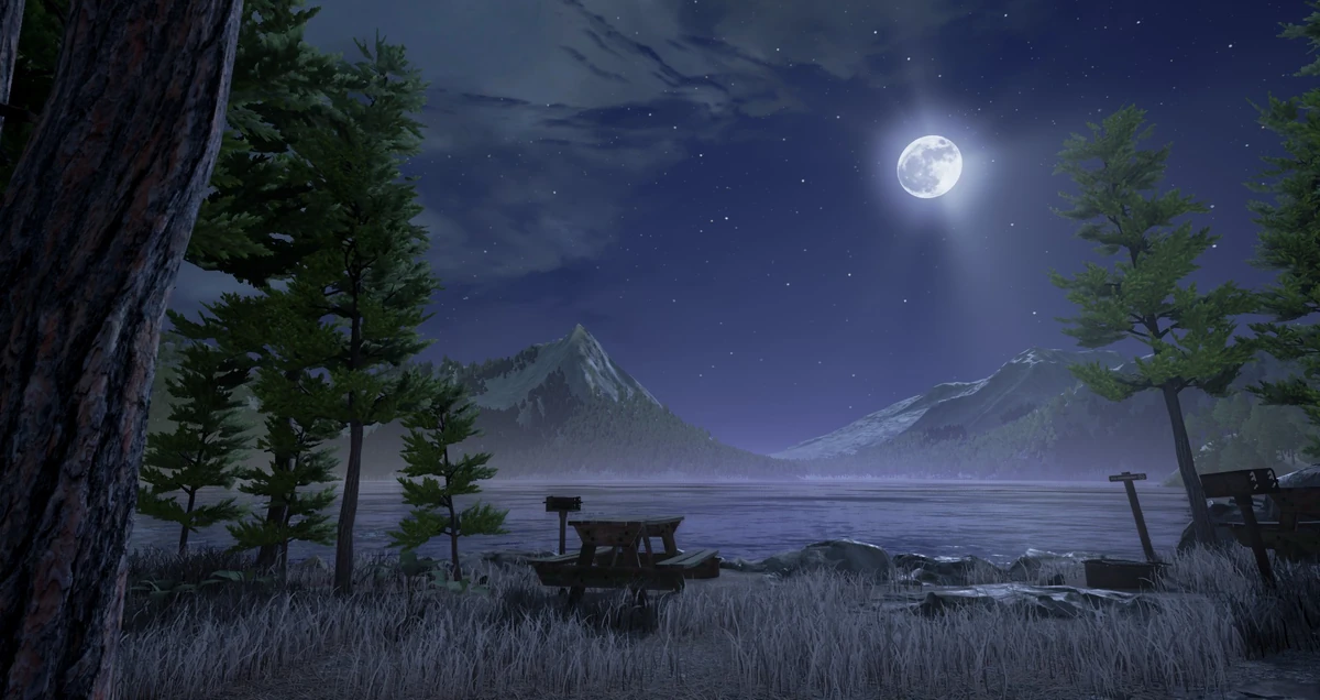 Forest - Obduction Wiki