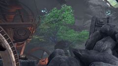 Tree - Obduction Wiki