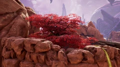 Tree - Obduction Wiki