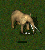 Tusker | OberinWiki | Fandom