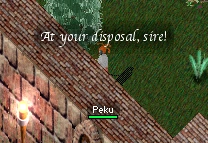 Peku | OberinWiki | Fandom