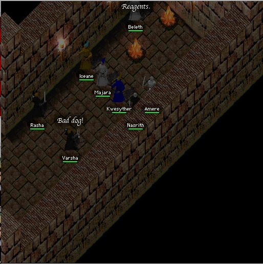 Twins | OberinWiki | Fandom