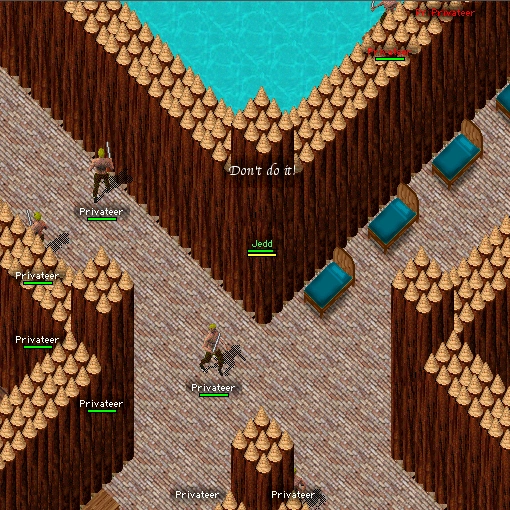 Privateer | OberinWiki | Fandom