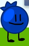 Blueberry | Object Cringe Wiki | Fandom