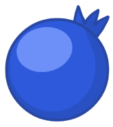 Blueberry/Gallery | Object Cringe Wiki | Fandom