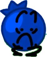 Blueberry | Object Cringe Wiki | Fandom
