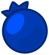 Blueberry/Gallery | Object Cringe Wiki | Fandom