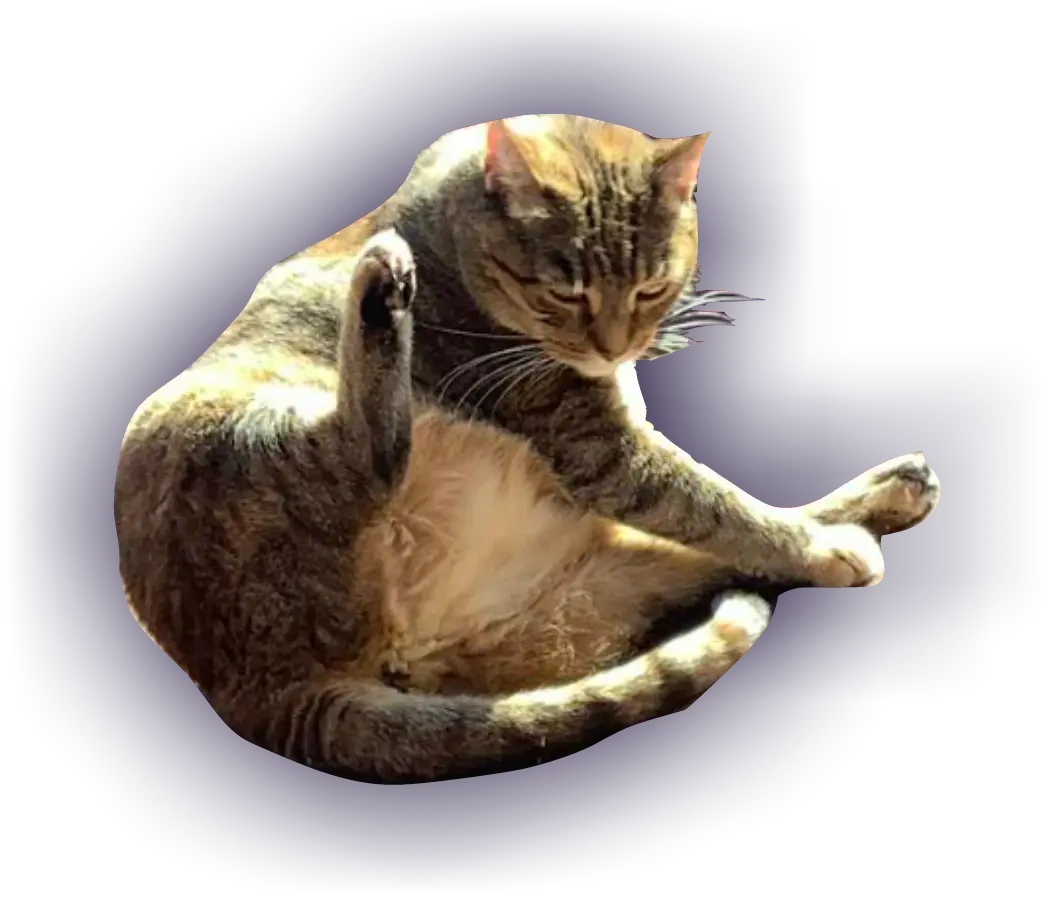 Nebula Void | Object Dumb Wiki | Fandom