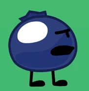 Berry/Gallery | Object Filler Wiki | Fandom