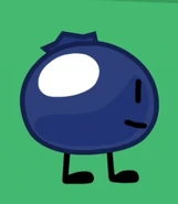 Berry/Gallery | Object Filler Wiki | Fandom