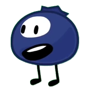 Berry/Gallery | Object Filler Wiki | Fandom