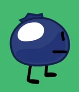 Berry/Gallery | Object Filler Wiki | Fandom