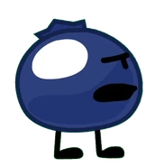 Berry/Gallery | Object Filler Wiki | Fandom