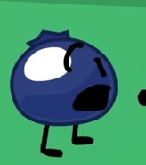 Berry/Gallery | Object Filler Wiki | Fandom