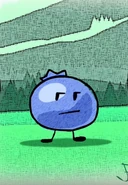 Berry/Gallery | Object Filler Wiki | Fandom