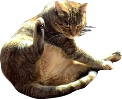 Nebula Void | Object Fool Wiki | Fandom