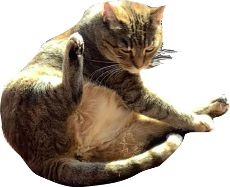 Nebula Void | Object Fool Wiki | Fandom