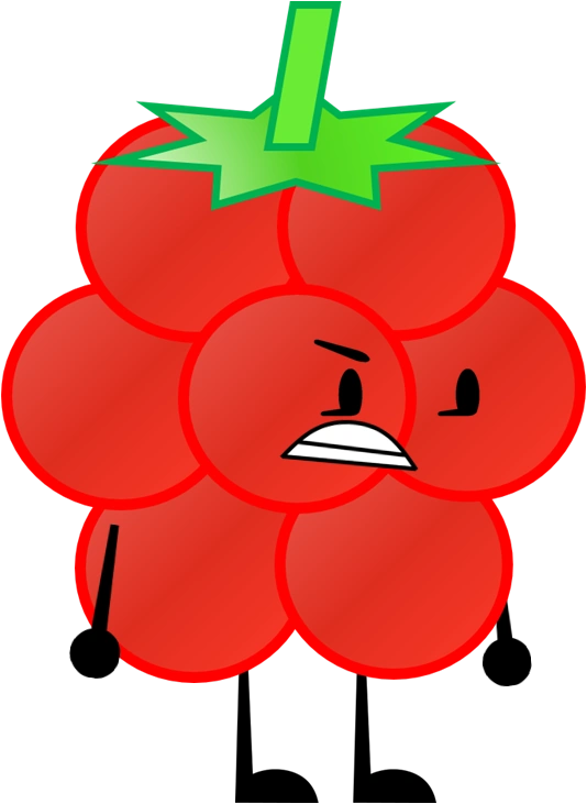 Raspberry | Object Hotness! Wikia | Fandom