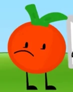 Object Insanity Generation 1 | Object Insanity Wiki | Fandom