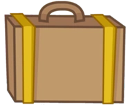 Suitcase | Object Multiverse Wiki | Fandom