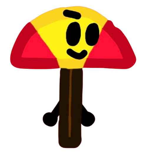 Beach Umbrella | Object Mystery Wiki | Fandom