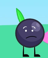 Blackberry | Object Obstacles Wiki | Fandom