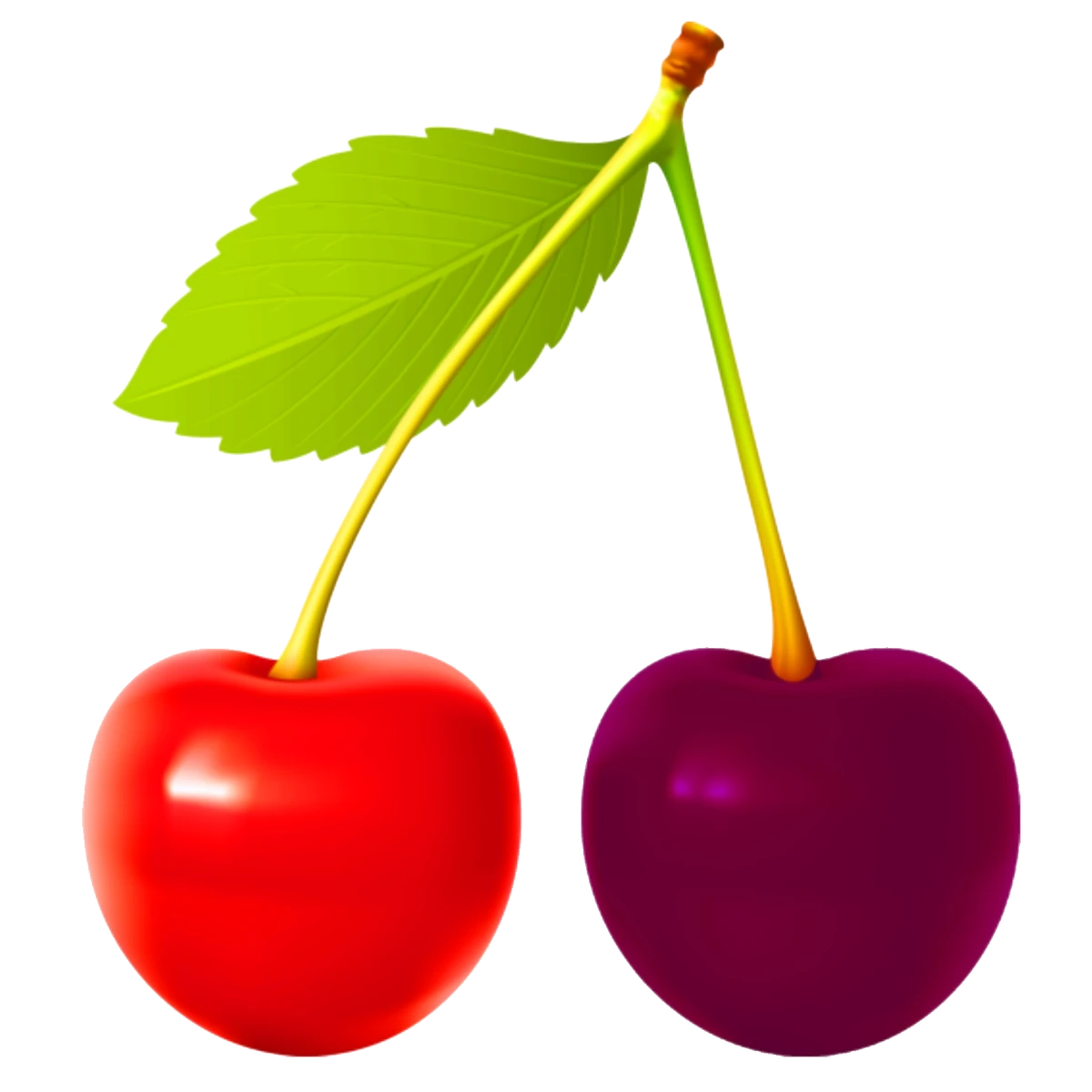 Assets | Object Oppose Wikia | Fandom