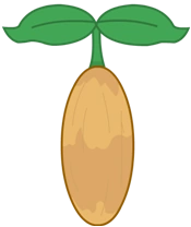 Seed | Object Redundancy Wiki | Fandom