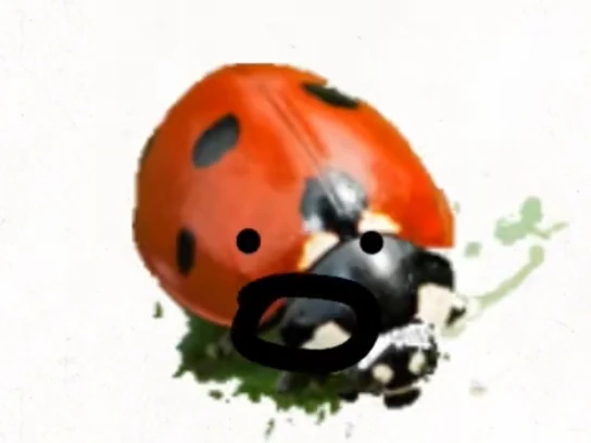 Bug | Object Scrembli Wiki | Fandom