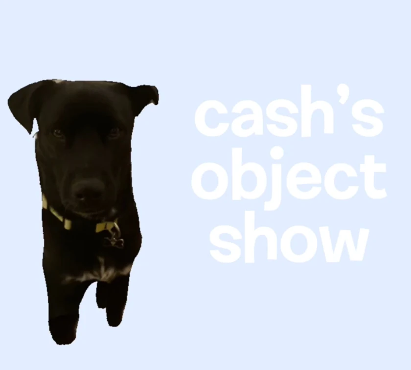 Cash’s object show | Object Scrembli Wiki | Fandom